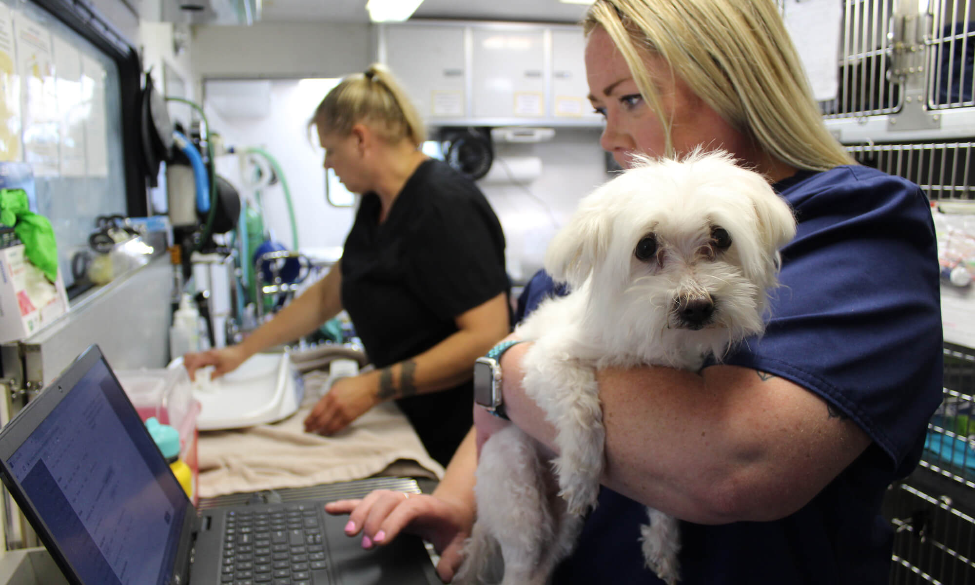 Our Mobile Spay Station was Vandalized - Pasado's Safe Haven