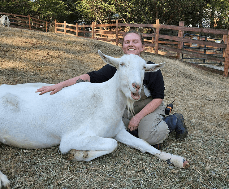Farm Animal Adoption - Pasado's Safe Haven